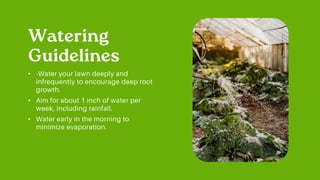 Basic Lawn Care Techniques | PDF