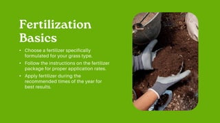 Basic Lawn Care Techniques | PDF