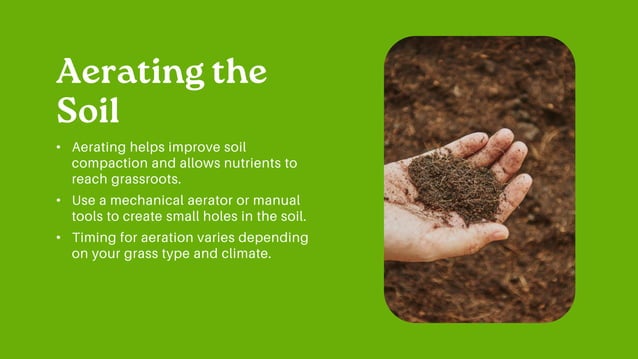 Basic Lawn Care Techniques | PDF