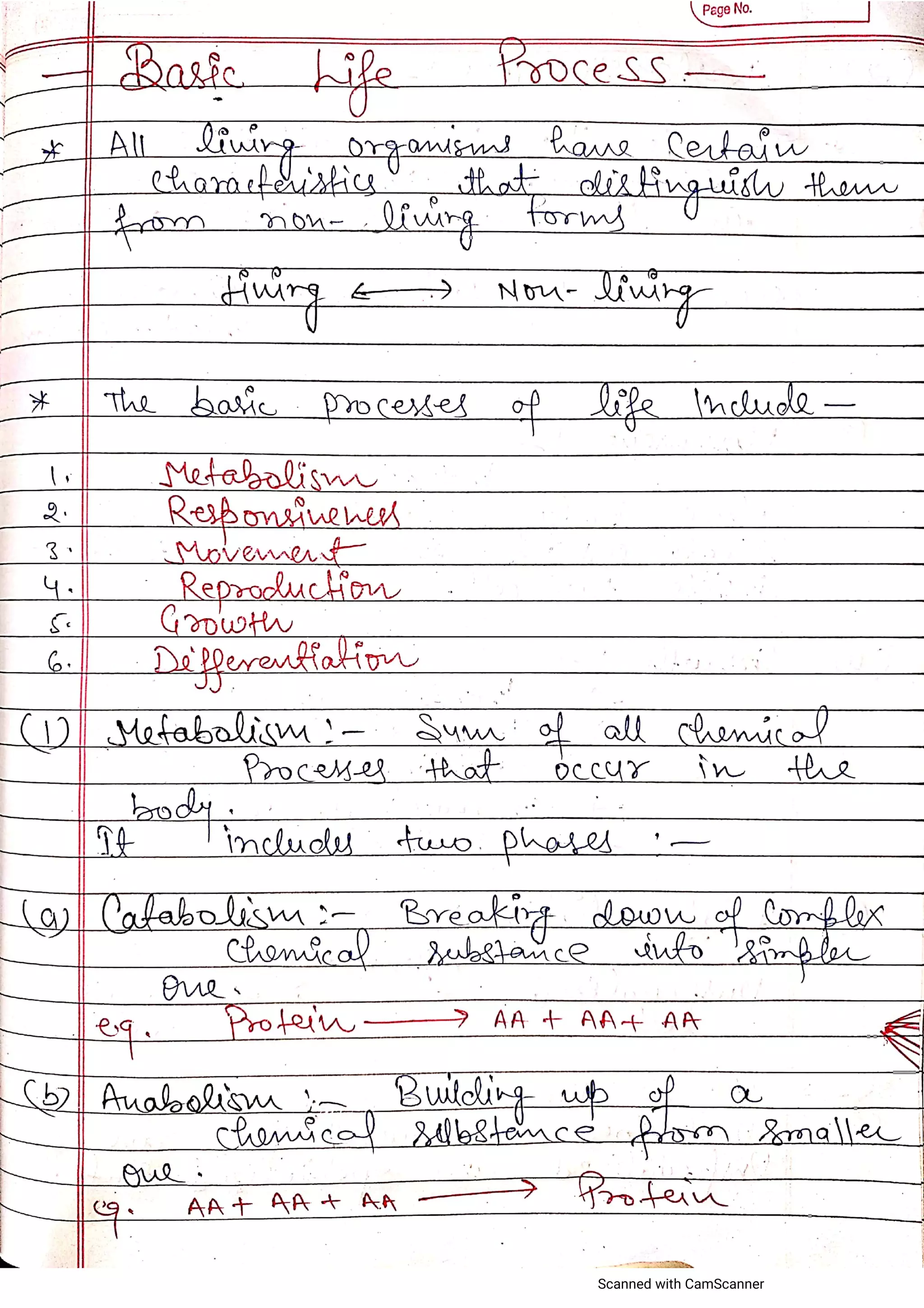 Basic life process.pdf