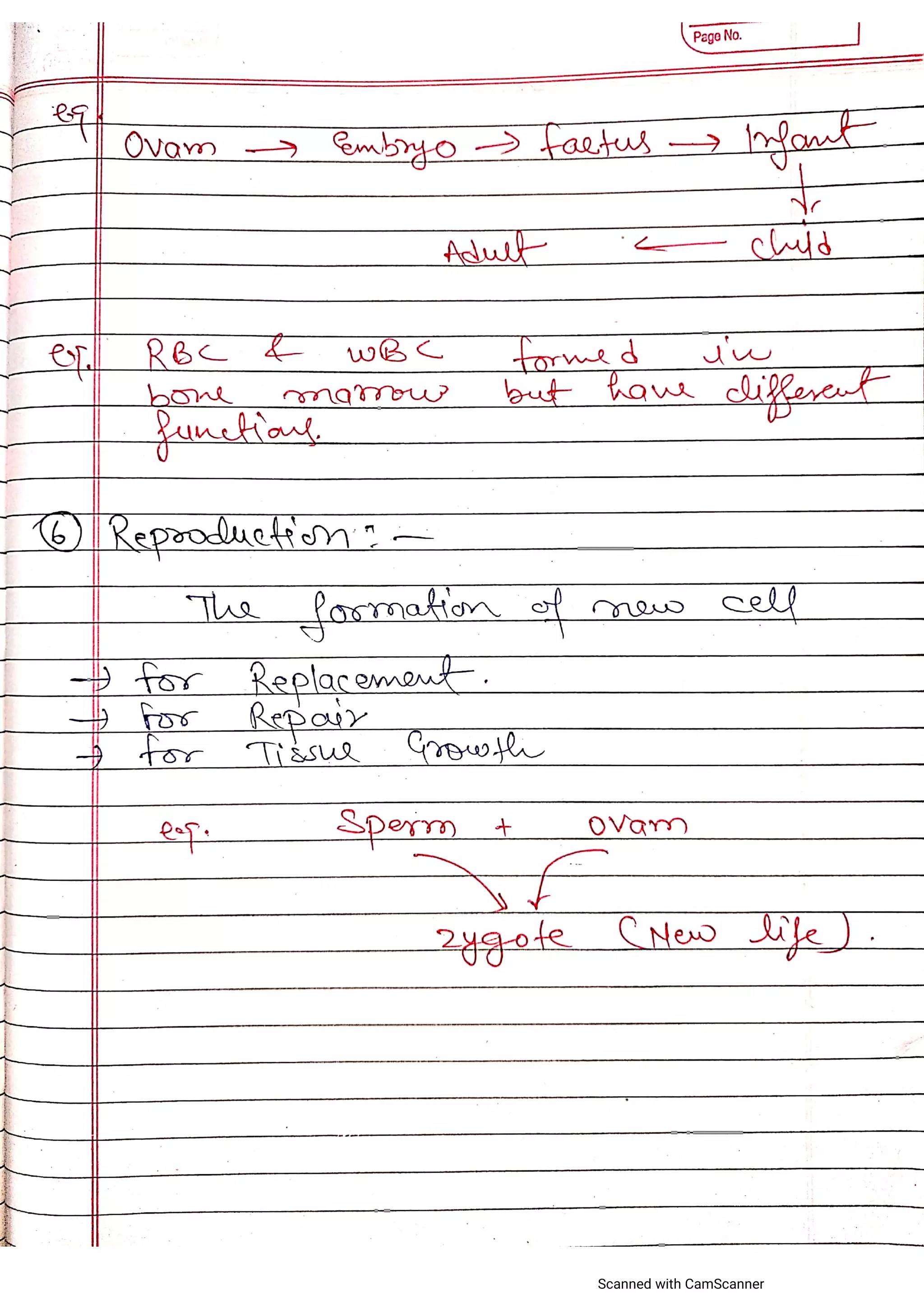 Basic life process.pdf