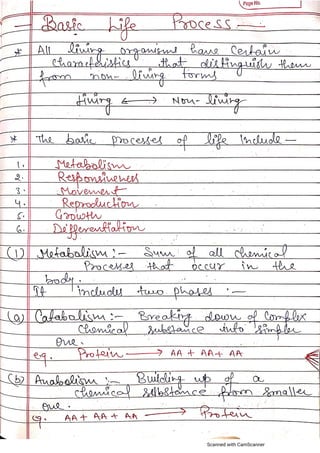 Basic life process.pdf