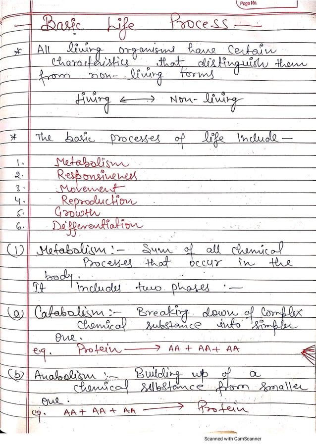 Basic life process.pdf