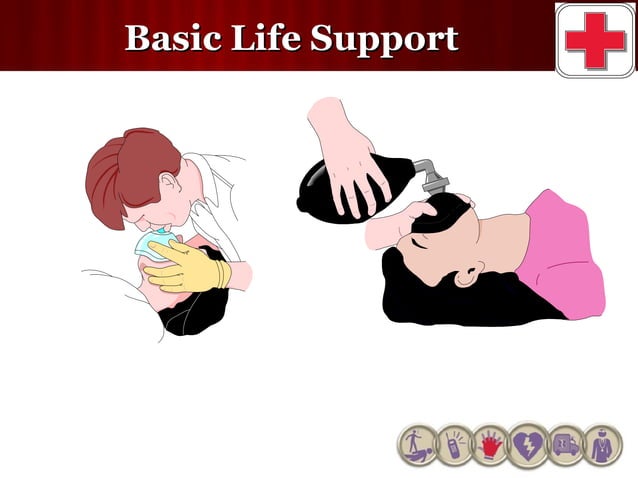 Basic life support | PPT
