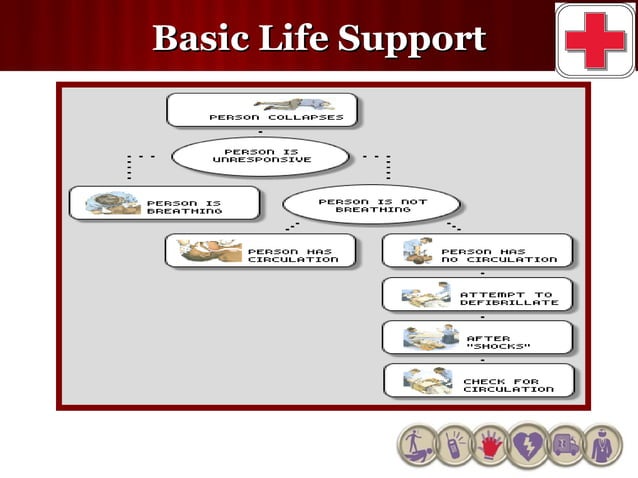 Basic life support | PPT