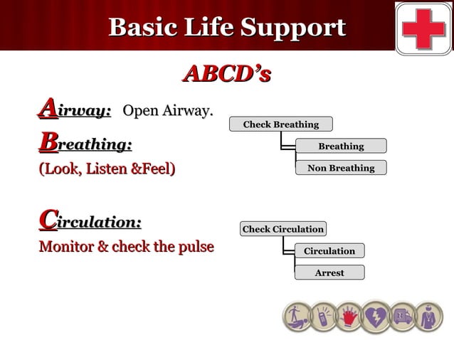 Basic life support | PPT