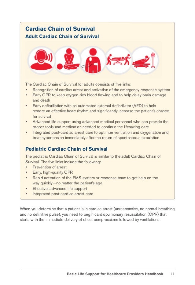 What are the 4 elements of basic life support - ultraarchitect