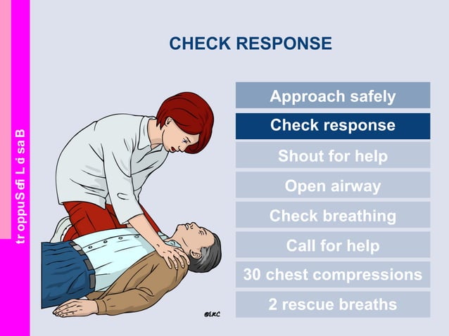 Basic Life Support (BLS)