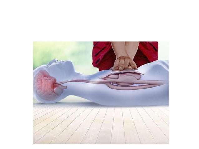 Basic life support.pdf | First Aid | Injuries