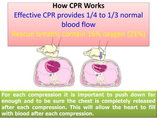 Basic Life Support.pptx