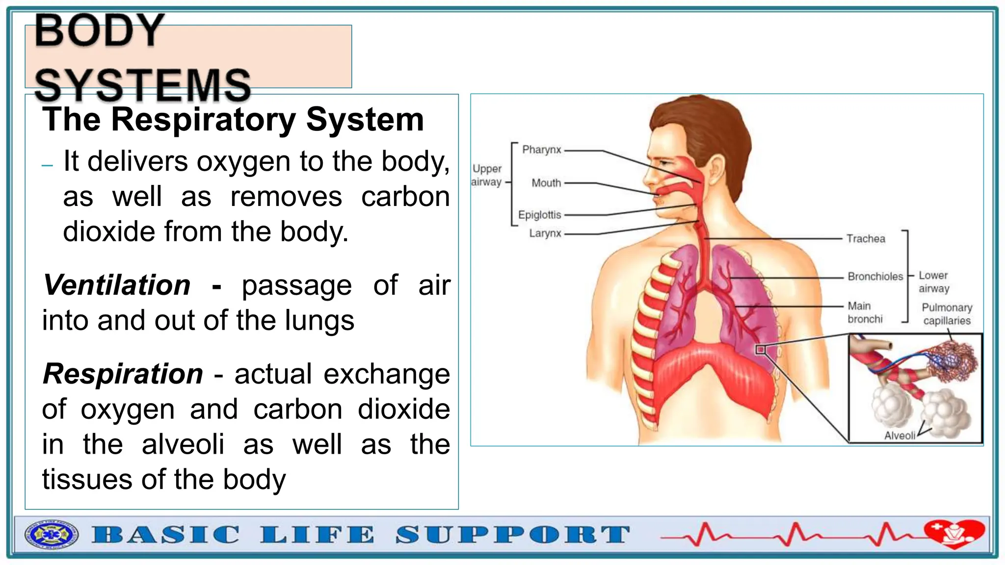 BASIC LIFE SUPPORT POWERPOINT PRESENTATION.pptx