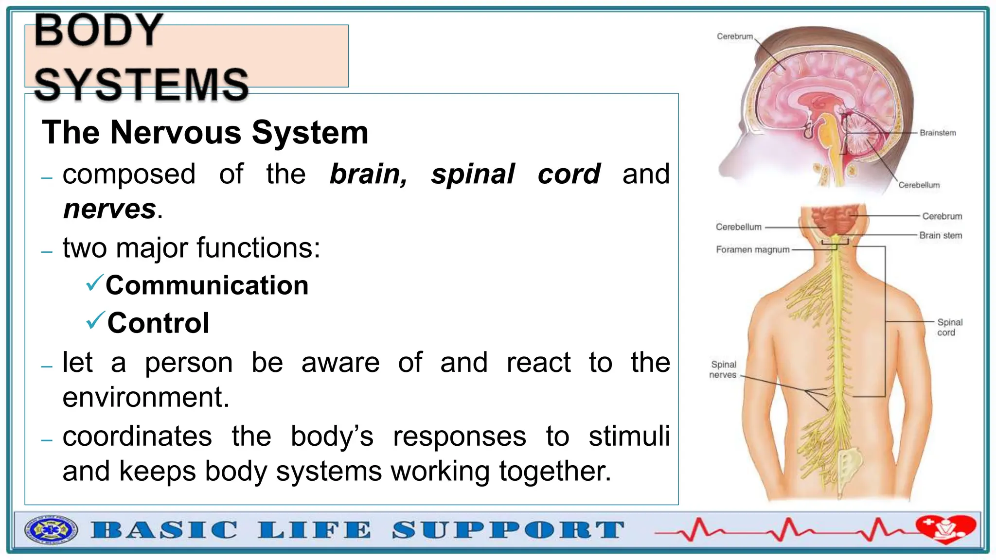 BASIC LIFE SUPPORT POWERPOINT PRESENTATION.pptx