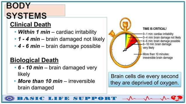 BASIC LIFE SUPPORT POWERPOINT PRESENTATION.pptx | First Aid | Injuries