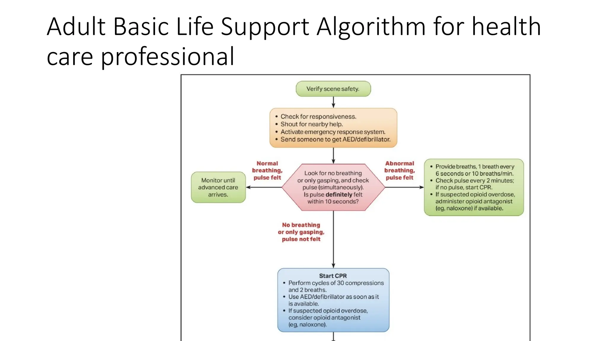 Basic Life Support.pptx bskskskhshejdjjdnbdj | PPTX