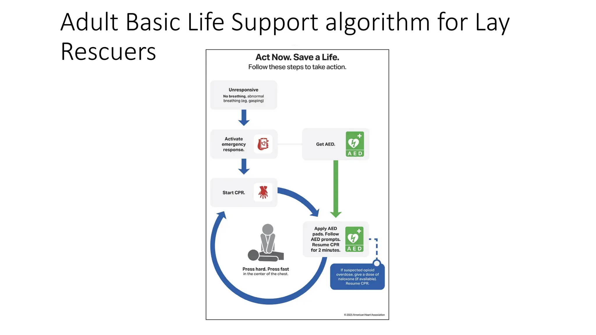 Basic Life Support.pptx bskskskhshejdjjdnbdj | PPTX