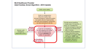 BASIC LIFE SUPPORT | PDF