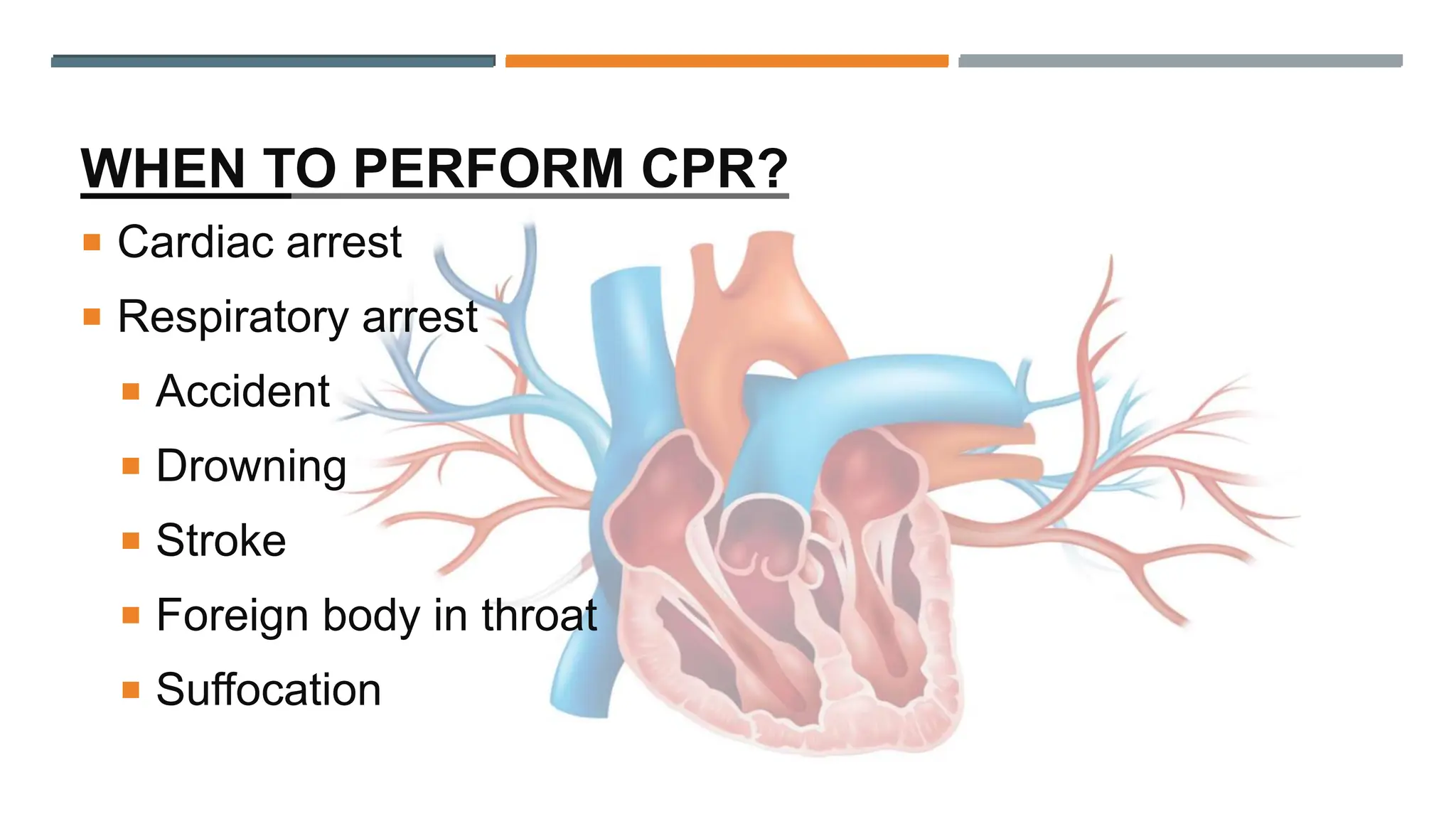 Basic cardiac life support and advance cardiac life support ppt | PPTX
