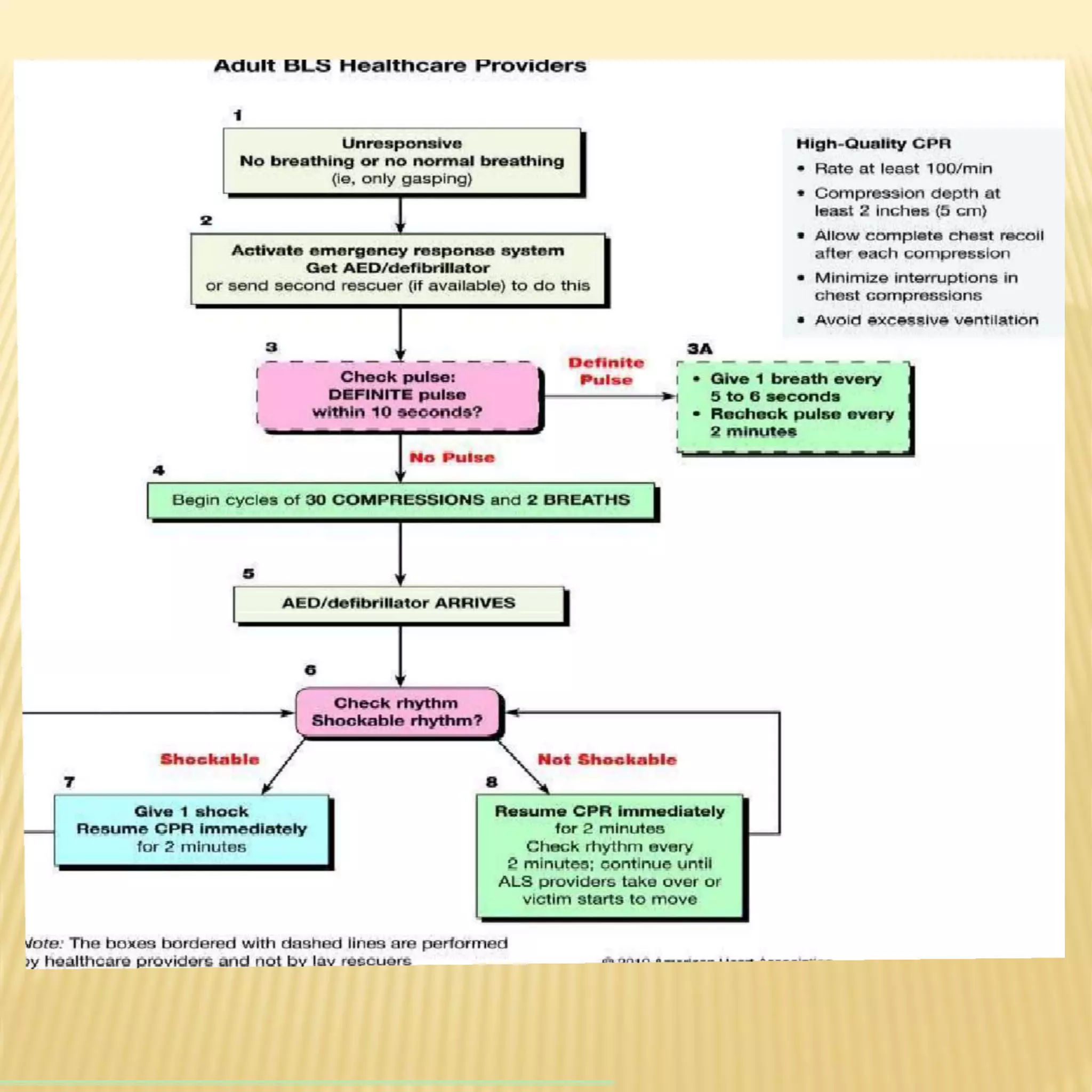Basic life support 2021 (bls) | PPTX