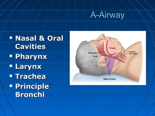 Basic life support (adult) | PPT