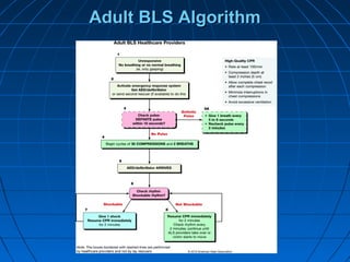 Basic life support (adult) | PPT