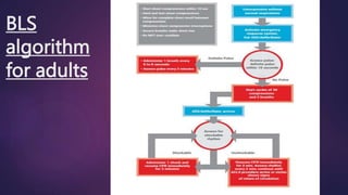 Basic life support (bls).pptx