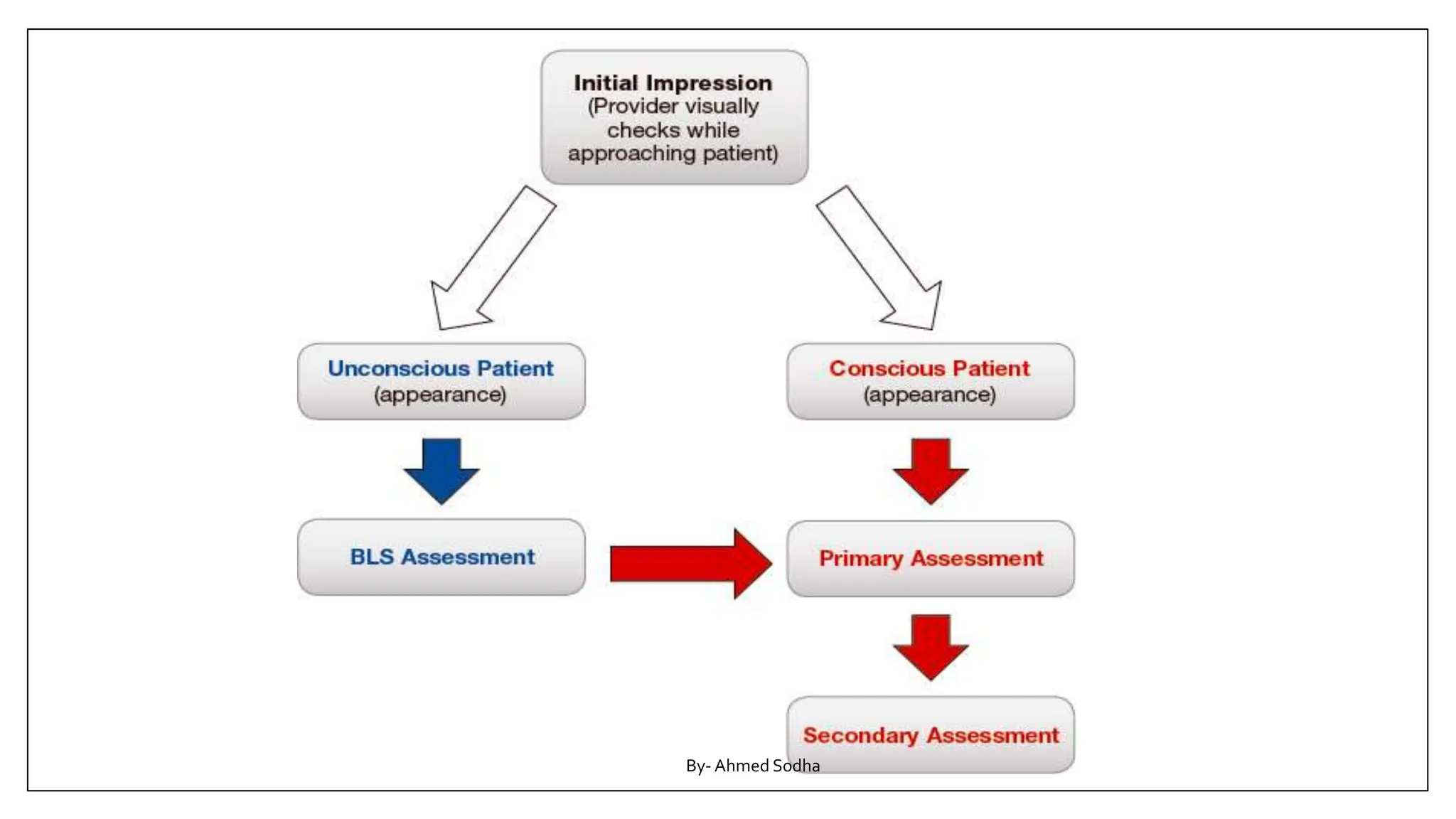 Basic Life Support (BLS).pptx
