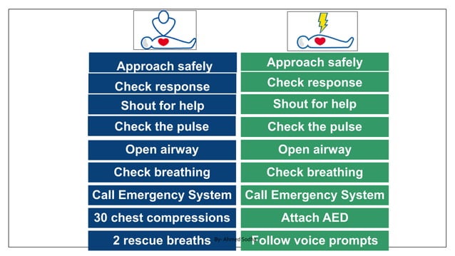 Basic Life Support (BLS).pptx