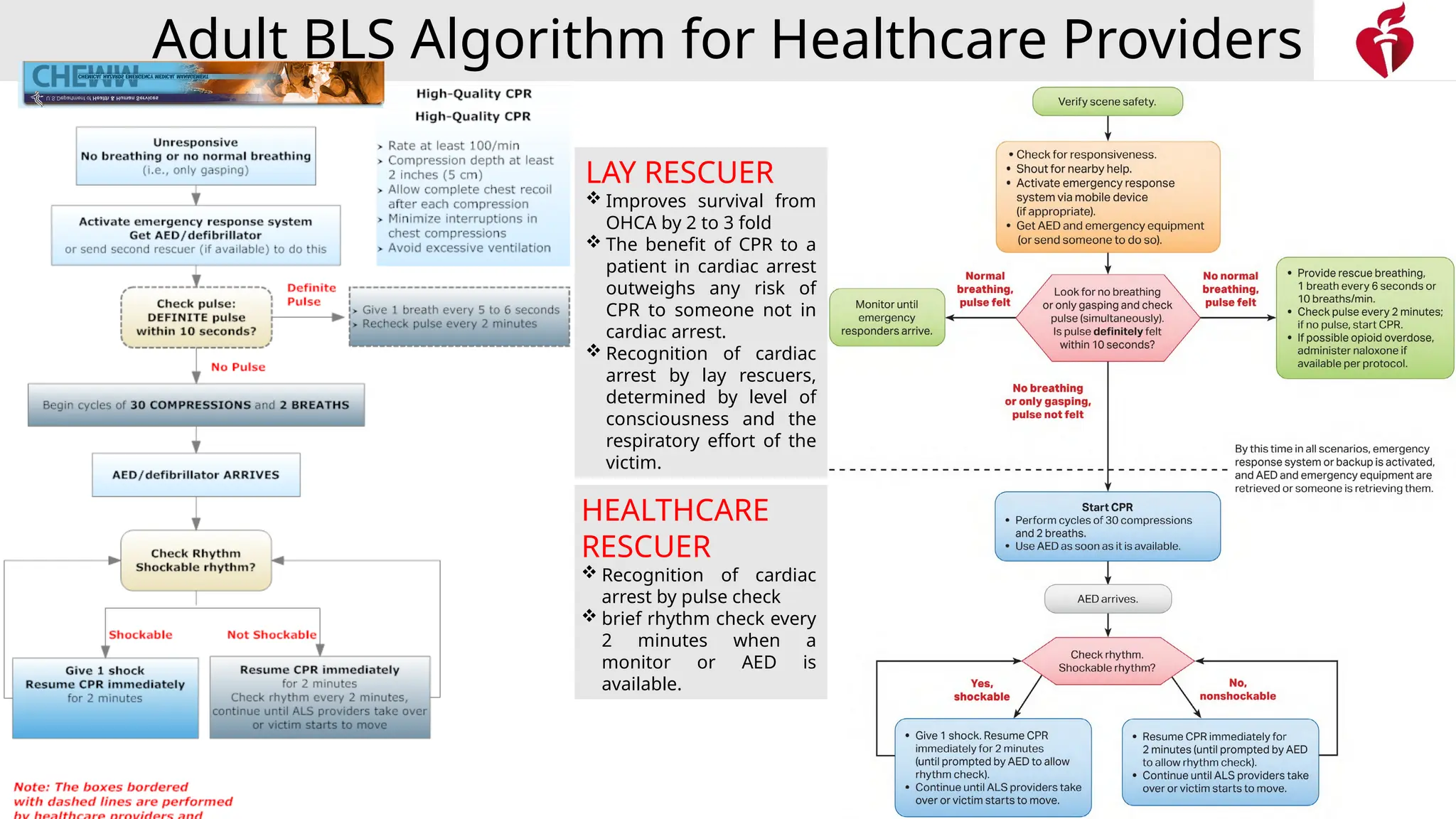 Basic Life Support BLS By Bassam Al-Mohseni.pptx
