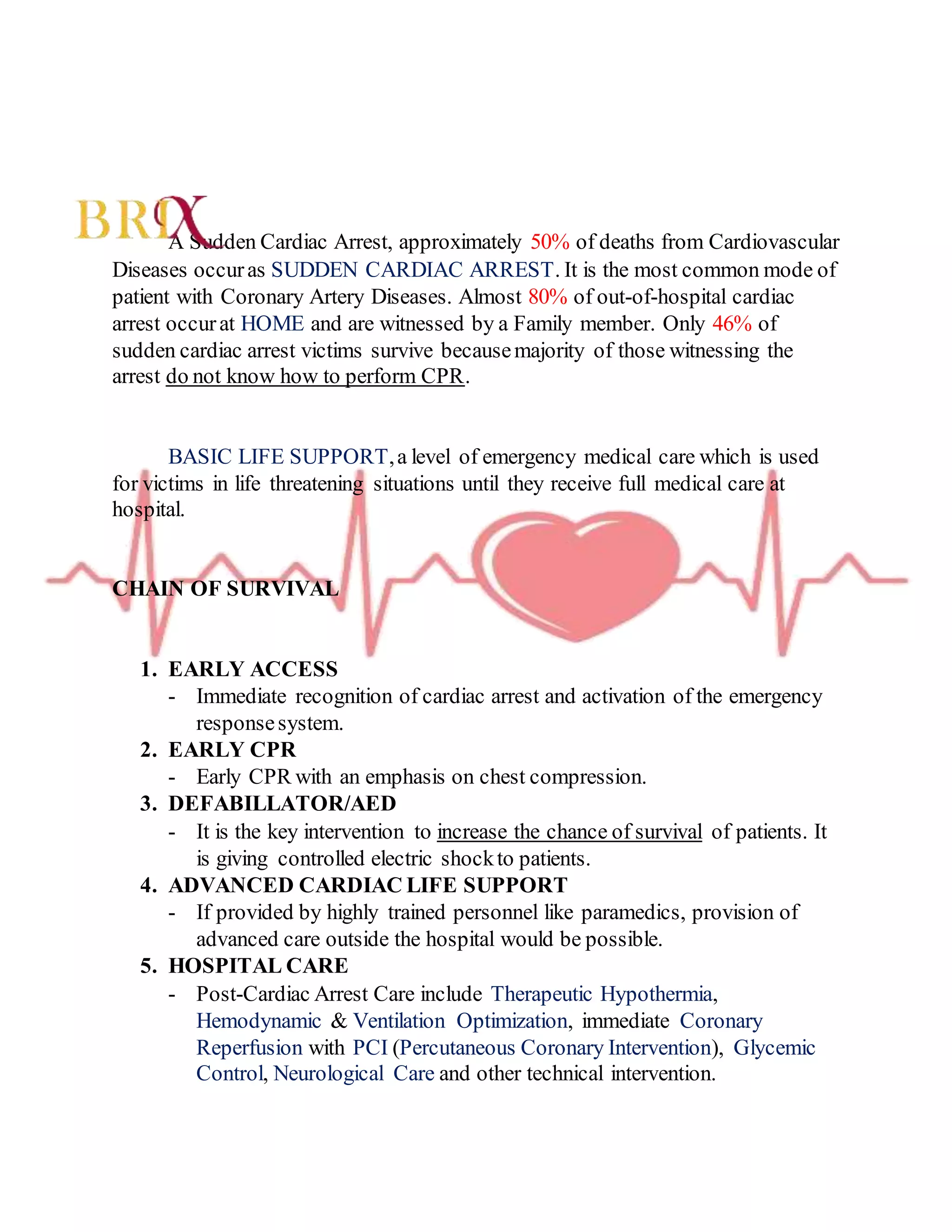 Basic Life Support for Lay Rescuers [book] | DOCX