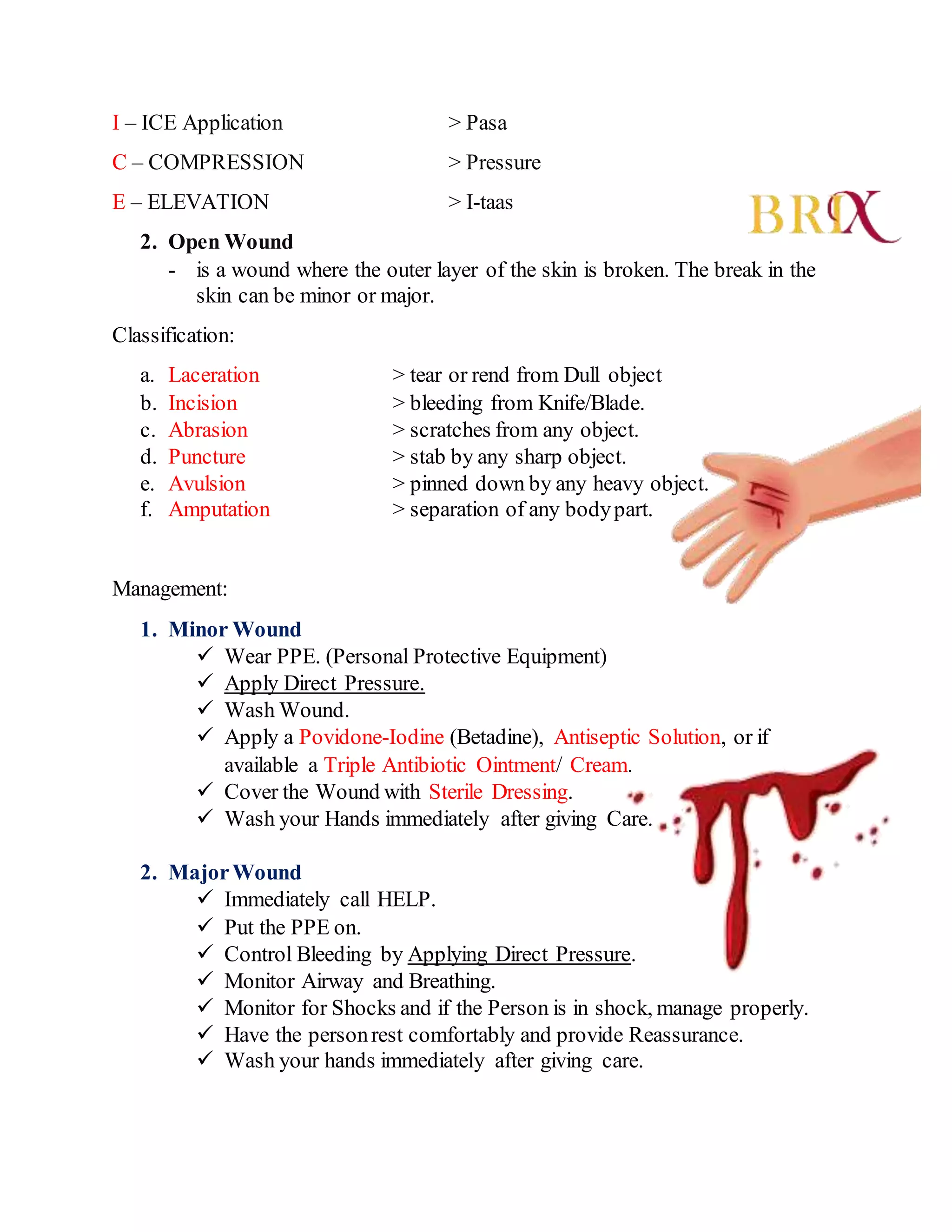 Basic Life Support for Lay Rescuers [book] | DOCX