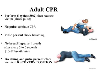 Basic life Support CPR.pptgghhhhhgggggggg | PPT