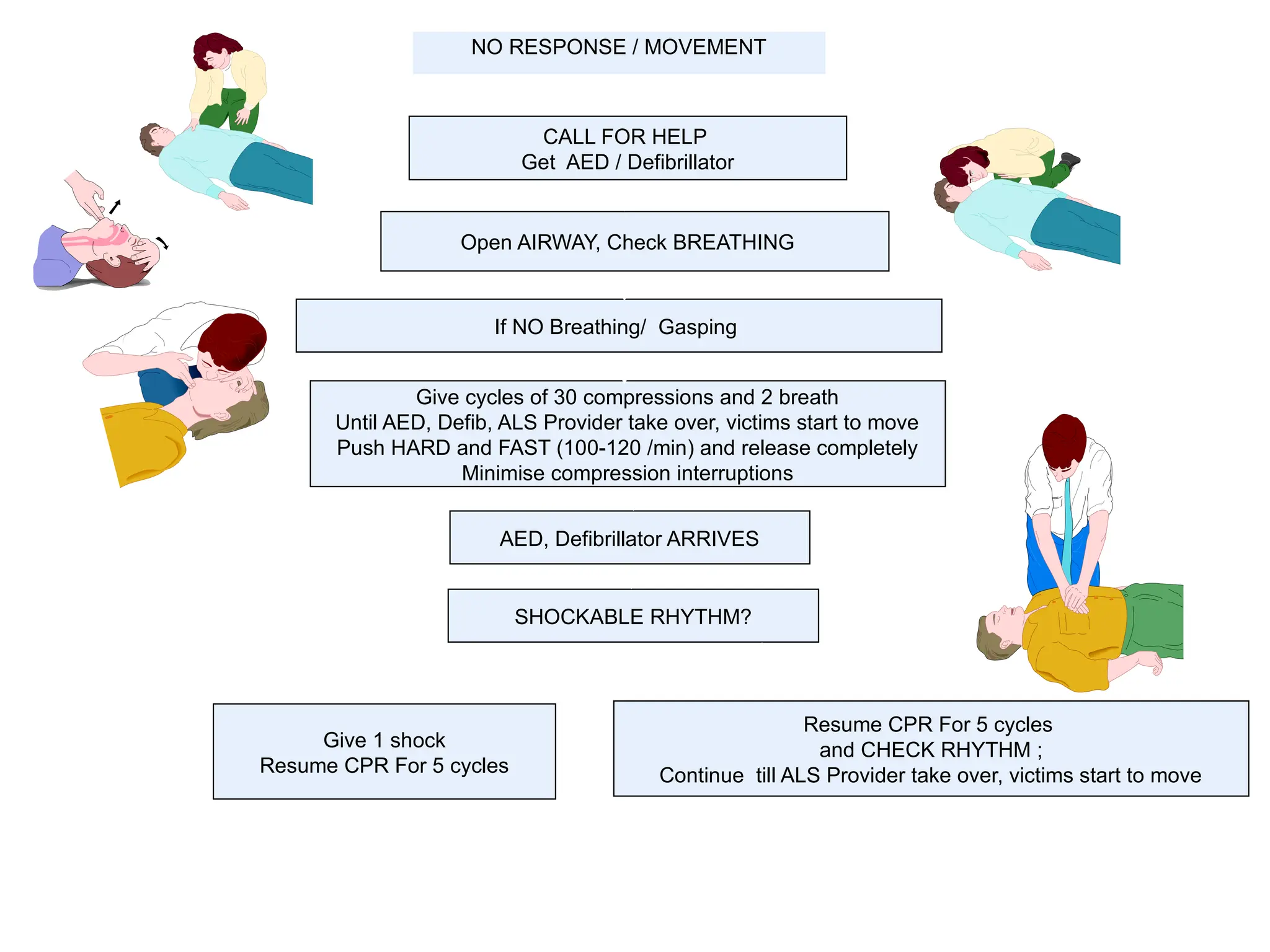 Basic Life Support NCORT KK Gemencheh 2024.pptx