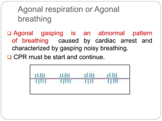 Basic life support review | PPT