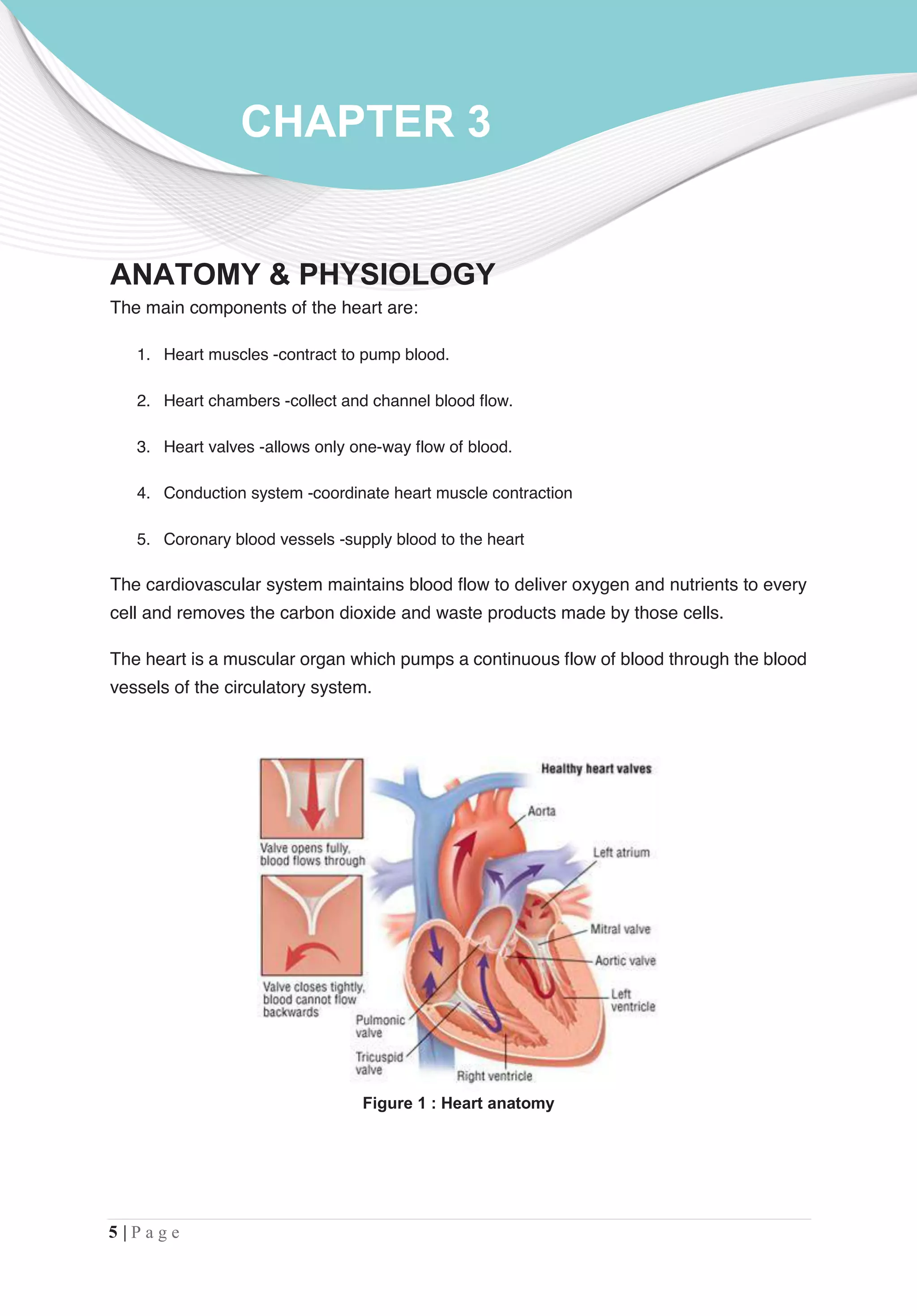 BASIC LIFE SUPPORT TRAINING MANUAL NEW MOH HOUSEMANSHIP MALAYSIA | PDF