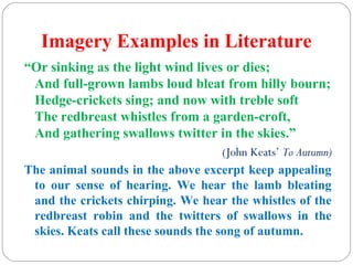 Imagery In Literature