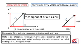 Basic mathematics resolution of vector and unit vector | PPTX
