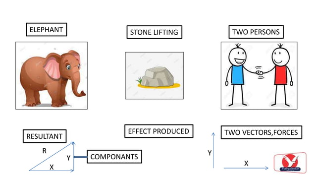 Basic mathematics resolution of vector and unit vector | PPTX