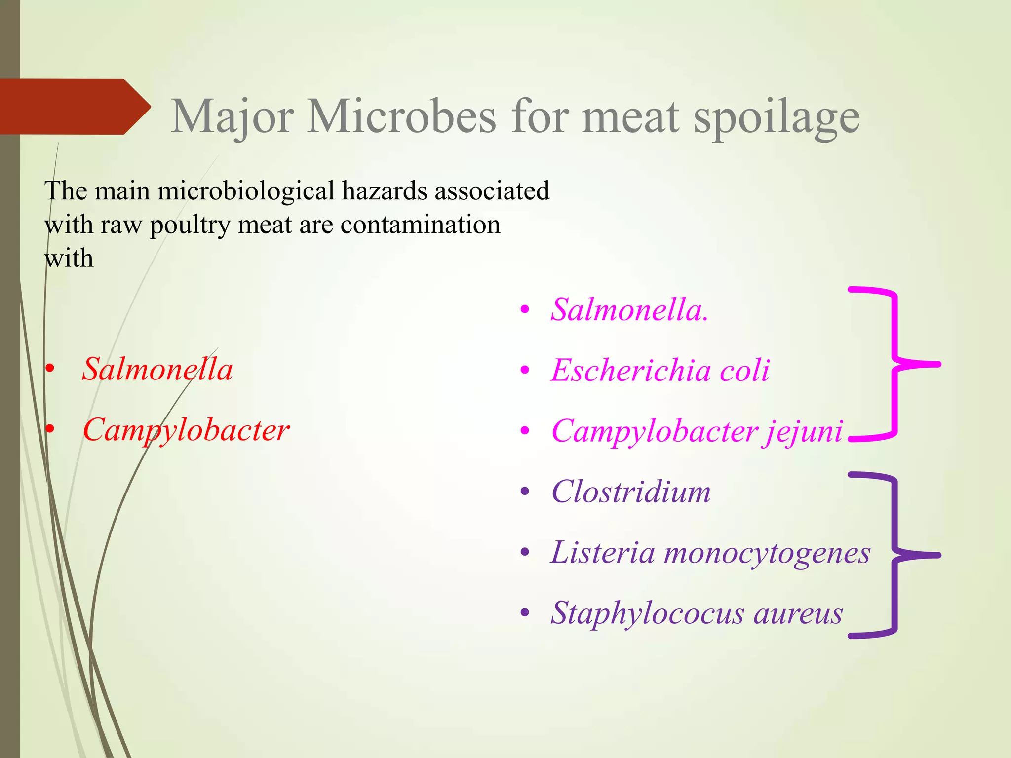 Basic meat microbiology | PPSX