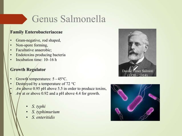 Basic meat microbiology | PPSX