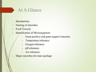 Basic meat microbiology | PPSX