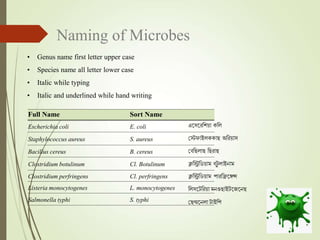 Basic meat microbiology | PPSX
