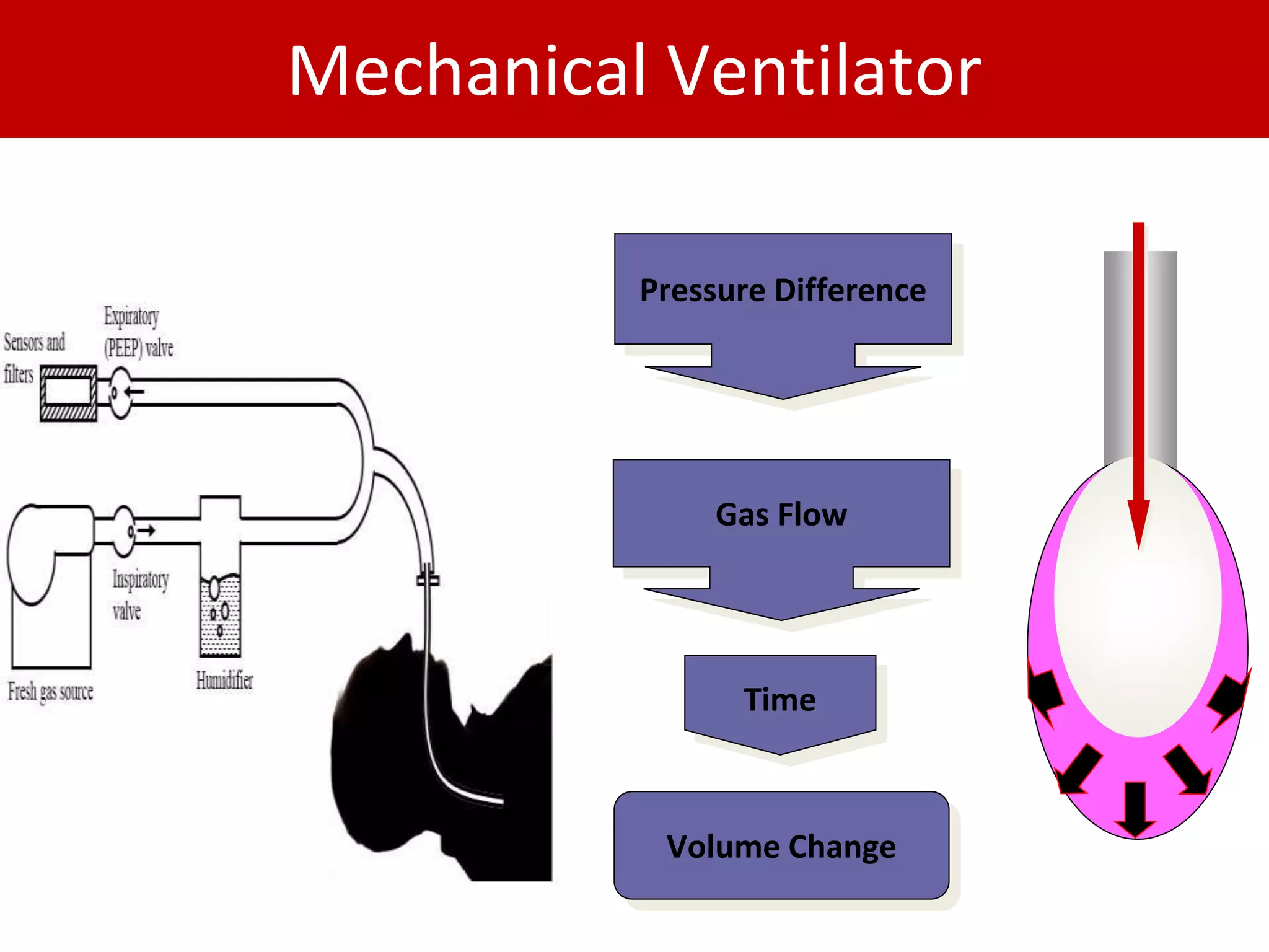Basic Mechanical Ventilation.pptx