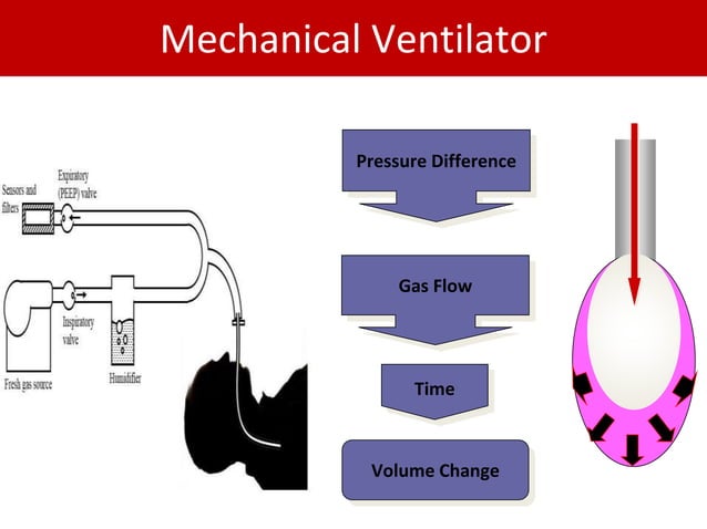 Basic Mechanical Ventilation.pptx