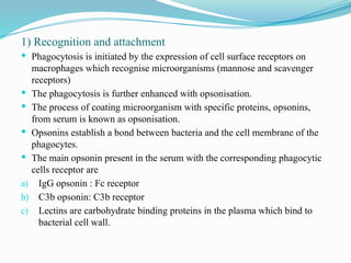 BASIC MECHANISM INVOLVED IN THE PROCESS OF INFLAMMATION (1)-1.pptx