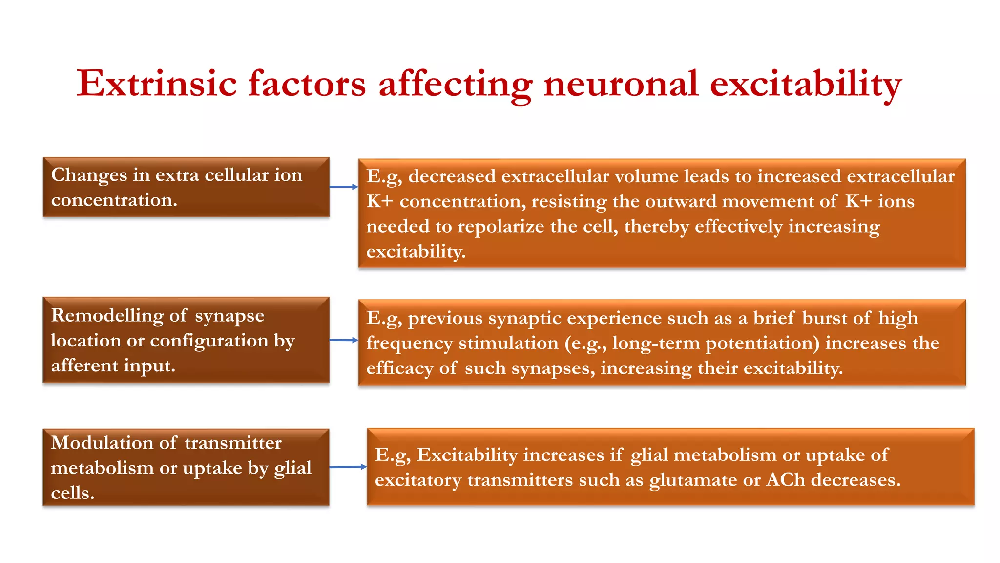 Basic mechanism of epilepsy | PPTX