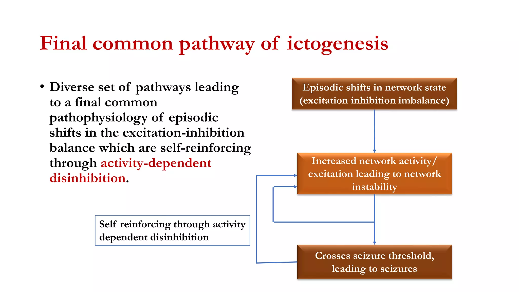 Basic mechanism of epilepsy | PPTX