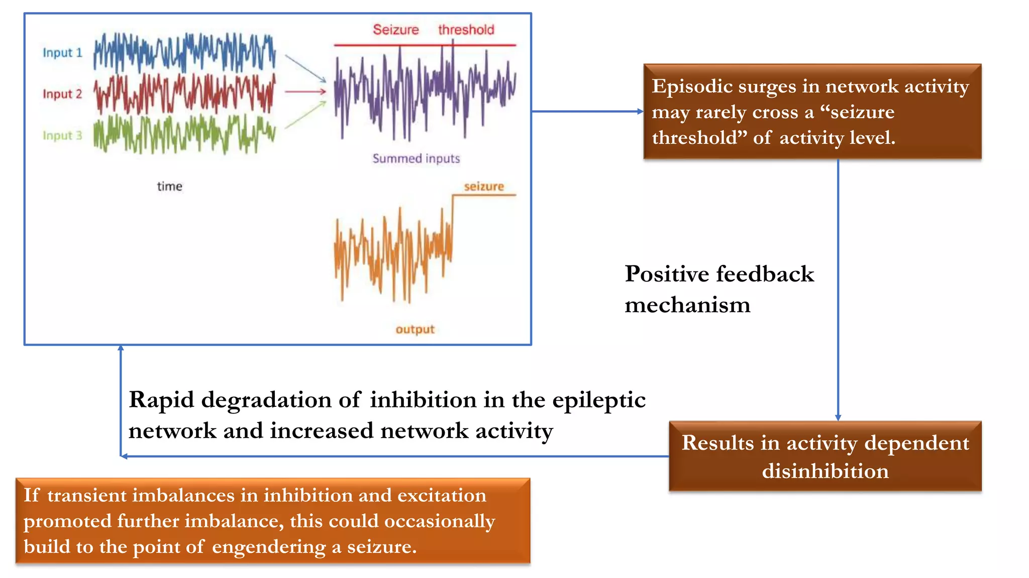 Basic mechanism of epilepsy | PPTX