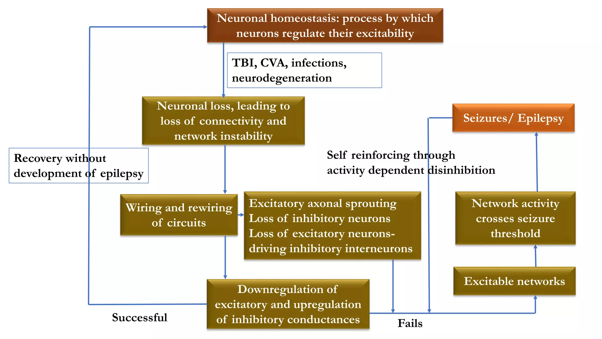 Basic mechanism of epilepsy | PPTX