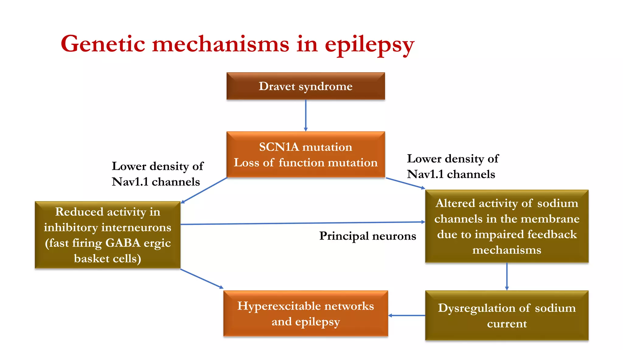 Basic mechanism of epilepsy | PPTX