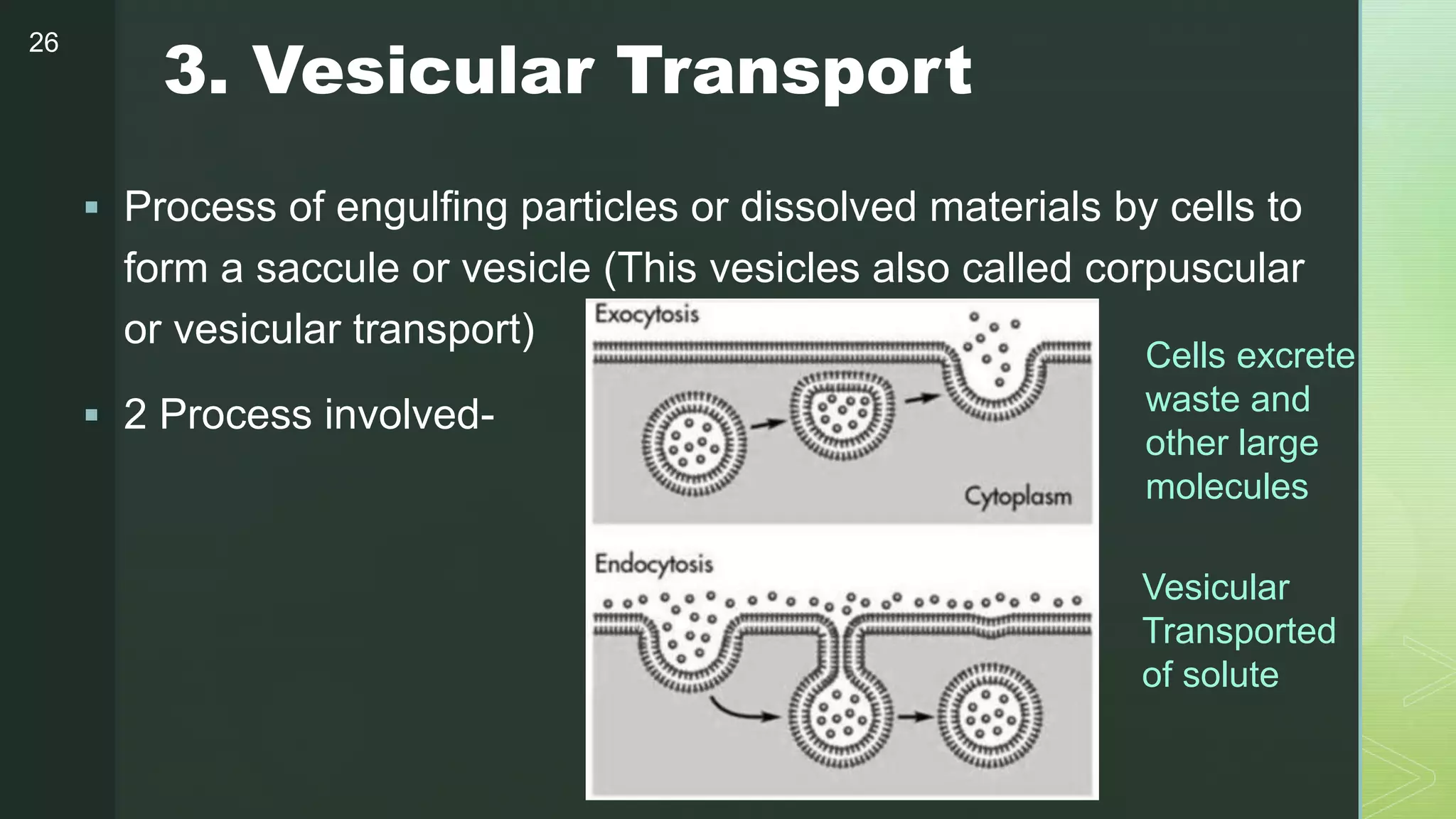 Basic Mechanisms of Membrane Transport | PPTX